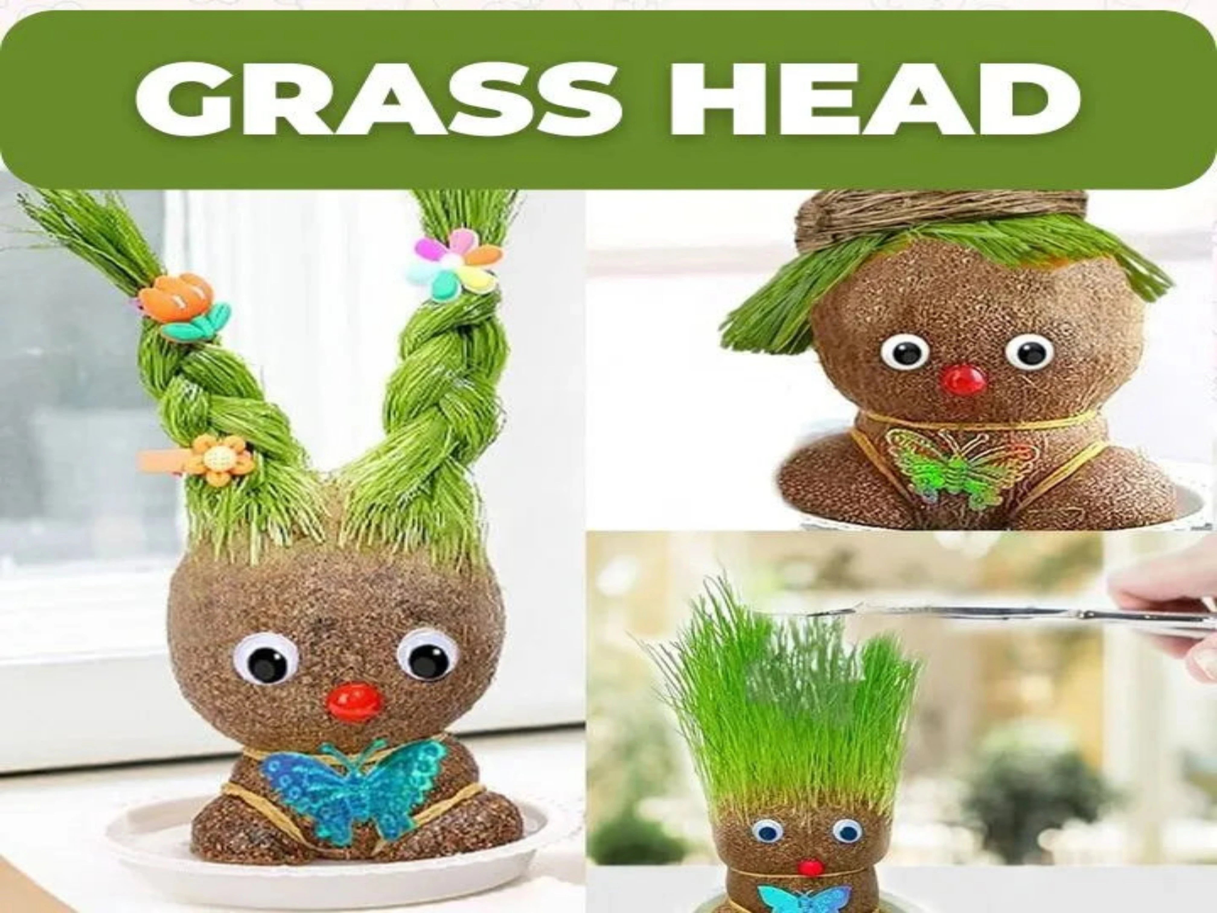 GRASS HEAD – morewellness